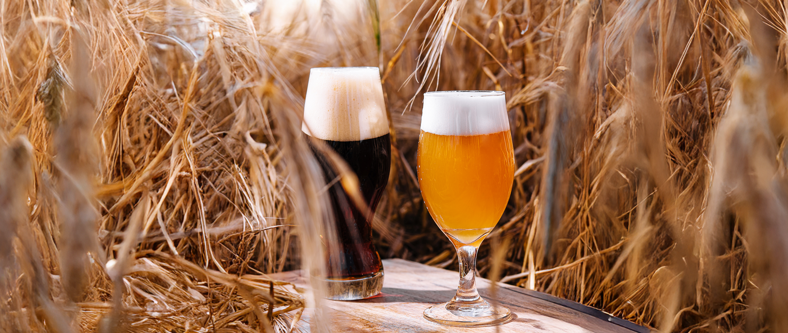 Best Beer Glass Gift Ideas for Beer Lovers (2026 Guide) – The Bar ...